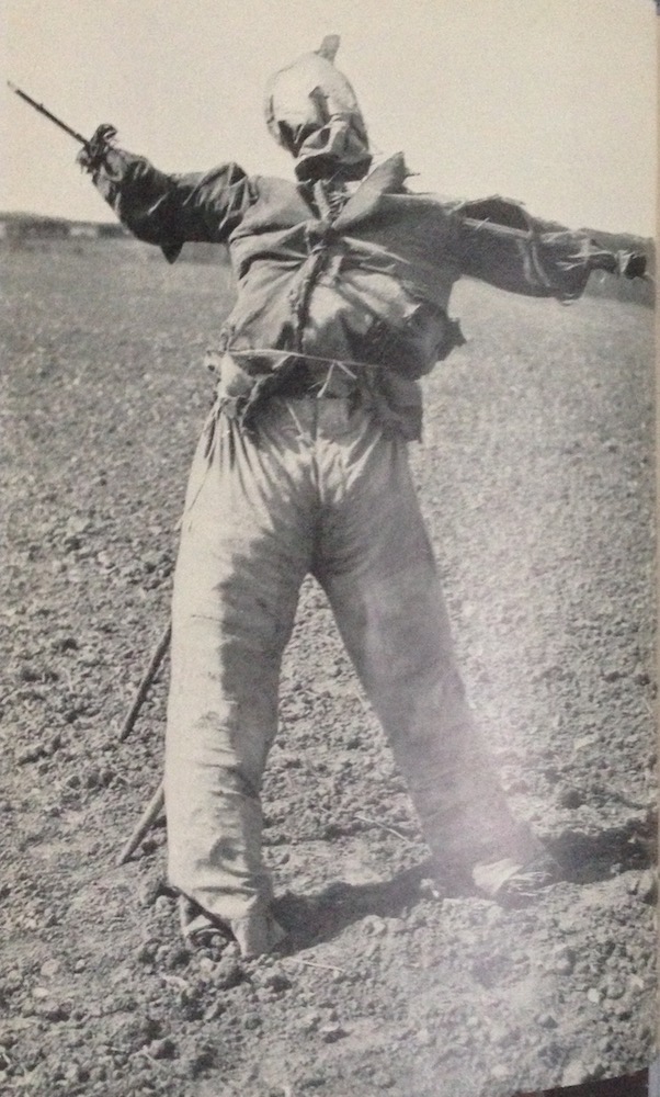 Scarecrows, History and War – barb drummond curious historian