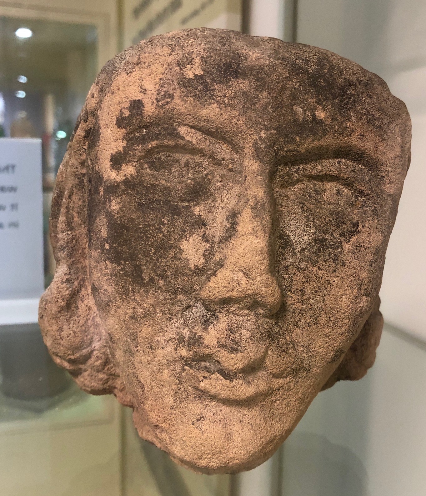 Stamford_Library-head – barb drummond curious historian