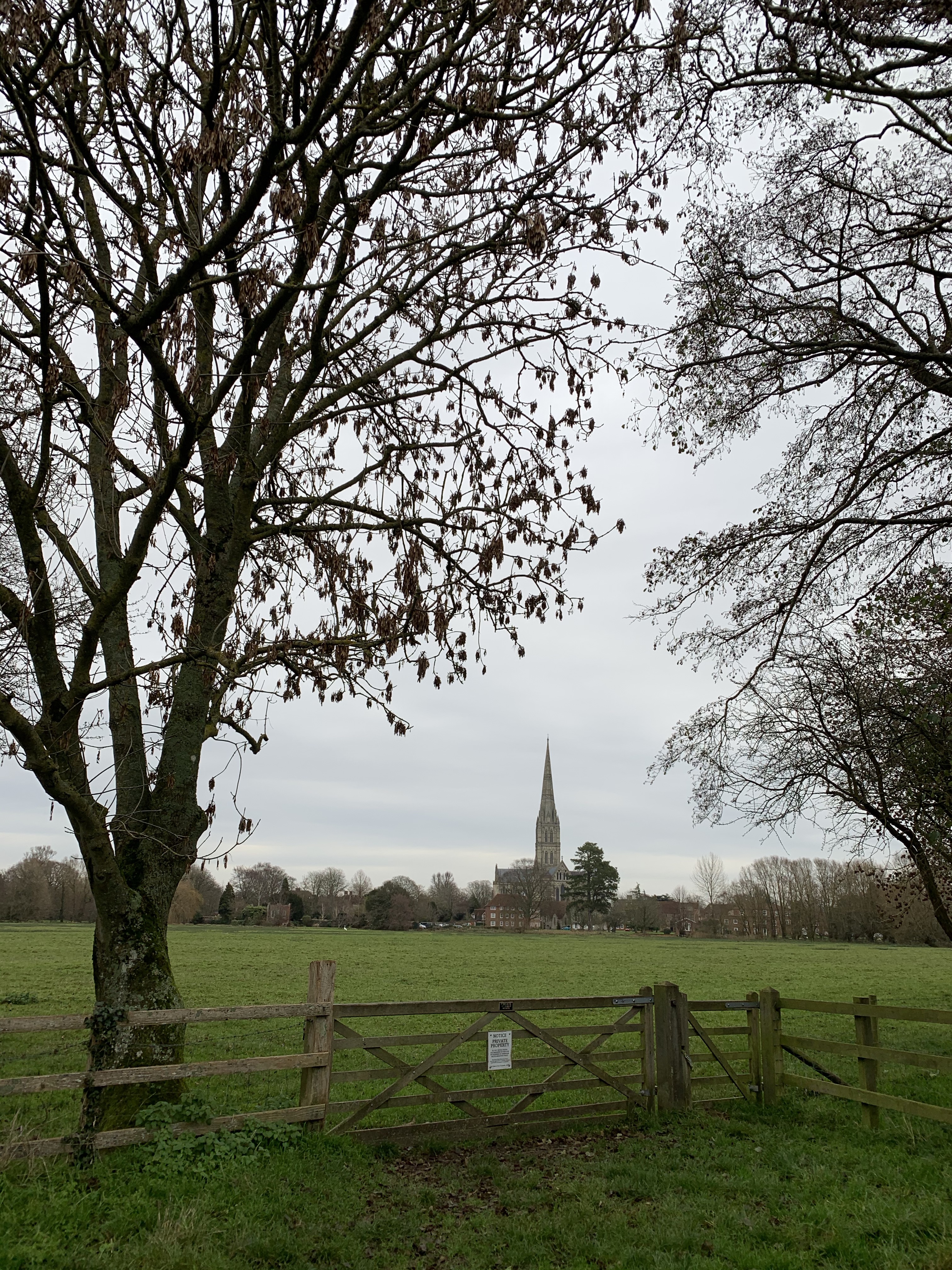 Salisbury Water Meadows – barb drummond curious historian